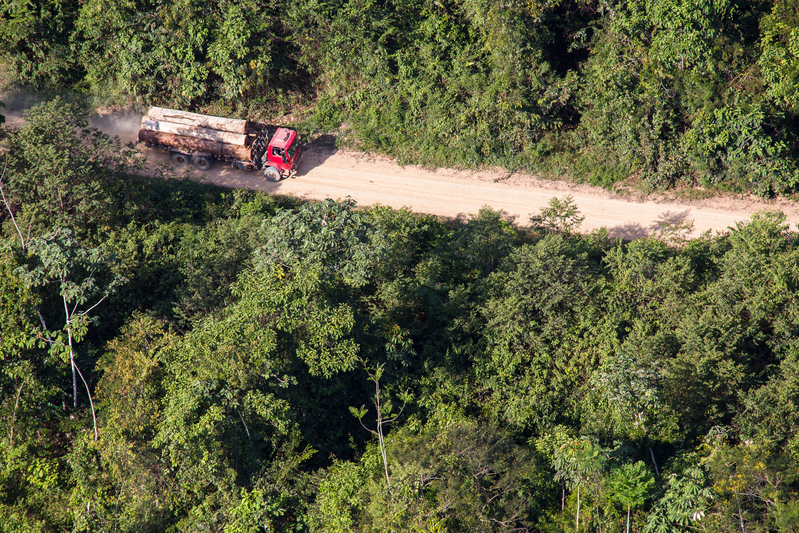 Logging Truck in Para State, Brazil - Greenpeace Schweiz