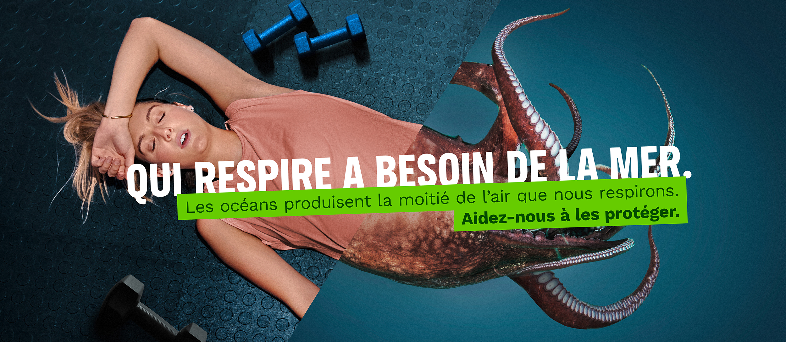 Soutenir la protection des océans maintenant ! - Greenpeace Suisse