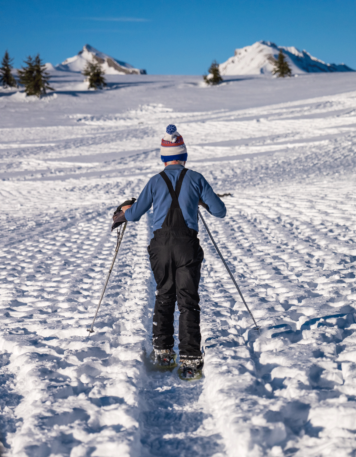 Schnee stampfen, damit es Menschen und Planet gut geht - Greenpeace Schweiz