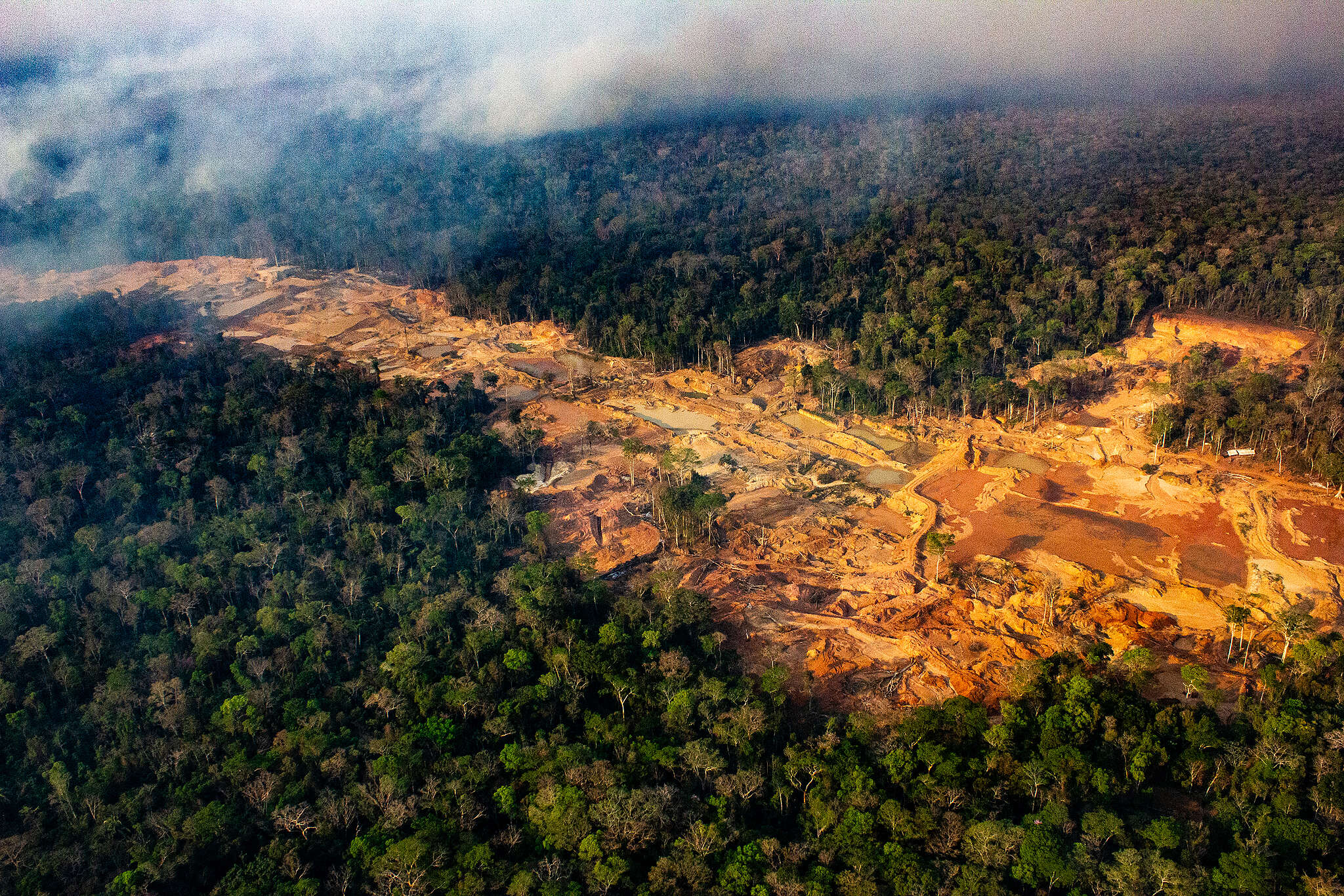 10 raisons de protéger l’Amazonie - Greenpeace Suisse